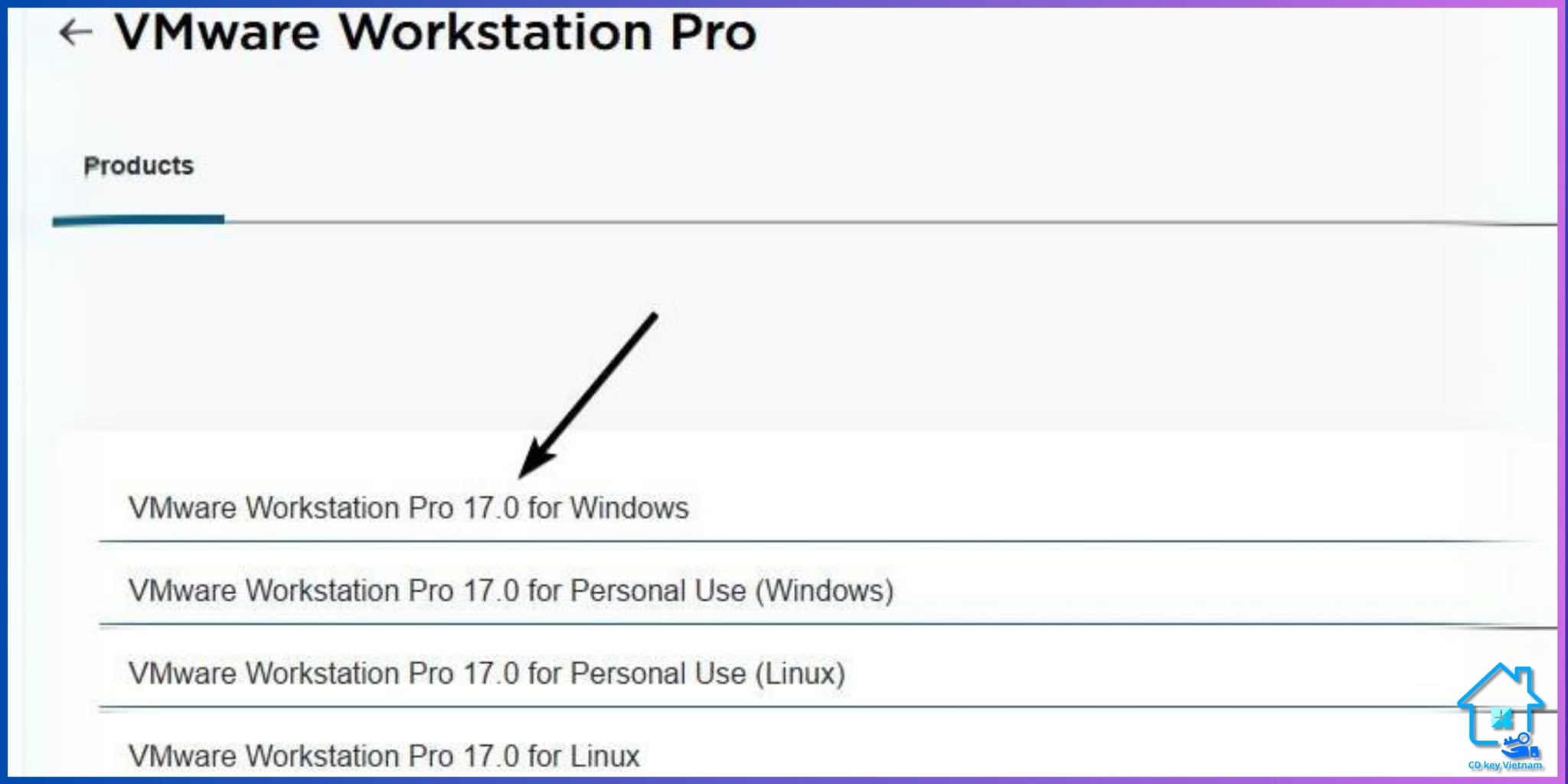 VMware Workstation 17 Pro - CD Key Vietnam